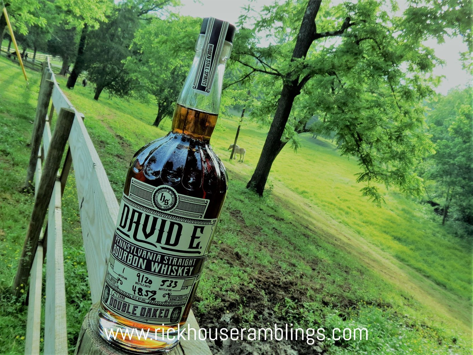 Review: David E. Pennsylvania Straight Bourbon Whiskey Double Oaked ...